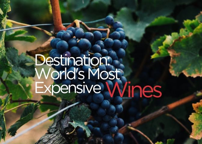 Where to Buy the World’s Most Expensive Wines